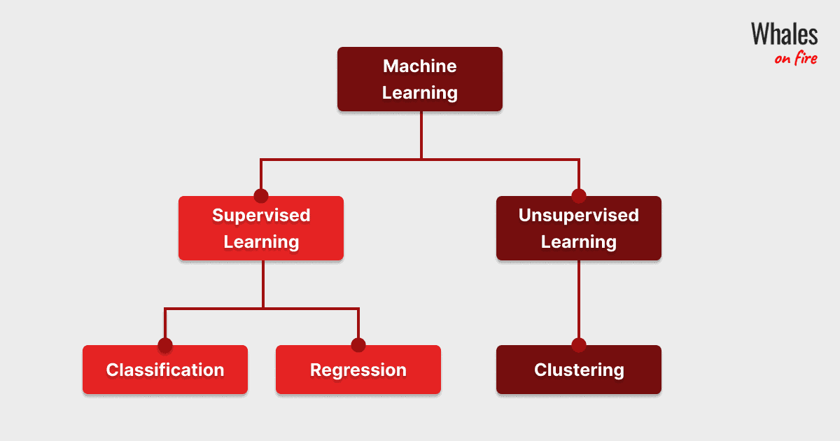 Supervised Learning: A Comprehensive Guide - Whales On Fire